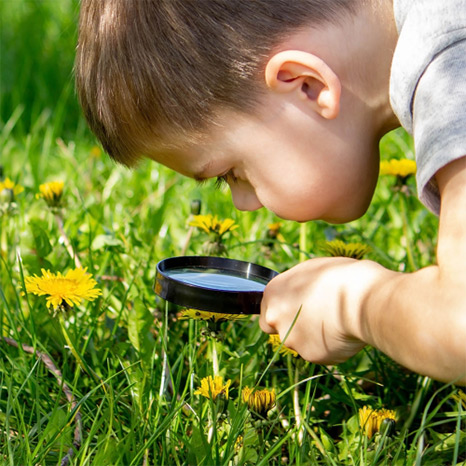 Preschool CDA Courses for Early Childhood Educators